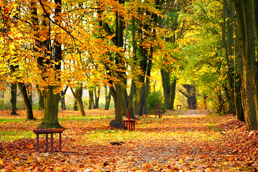 Autumn - What to do in Polish cities | Poland - Guide